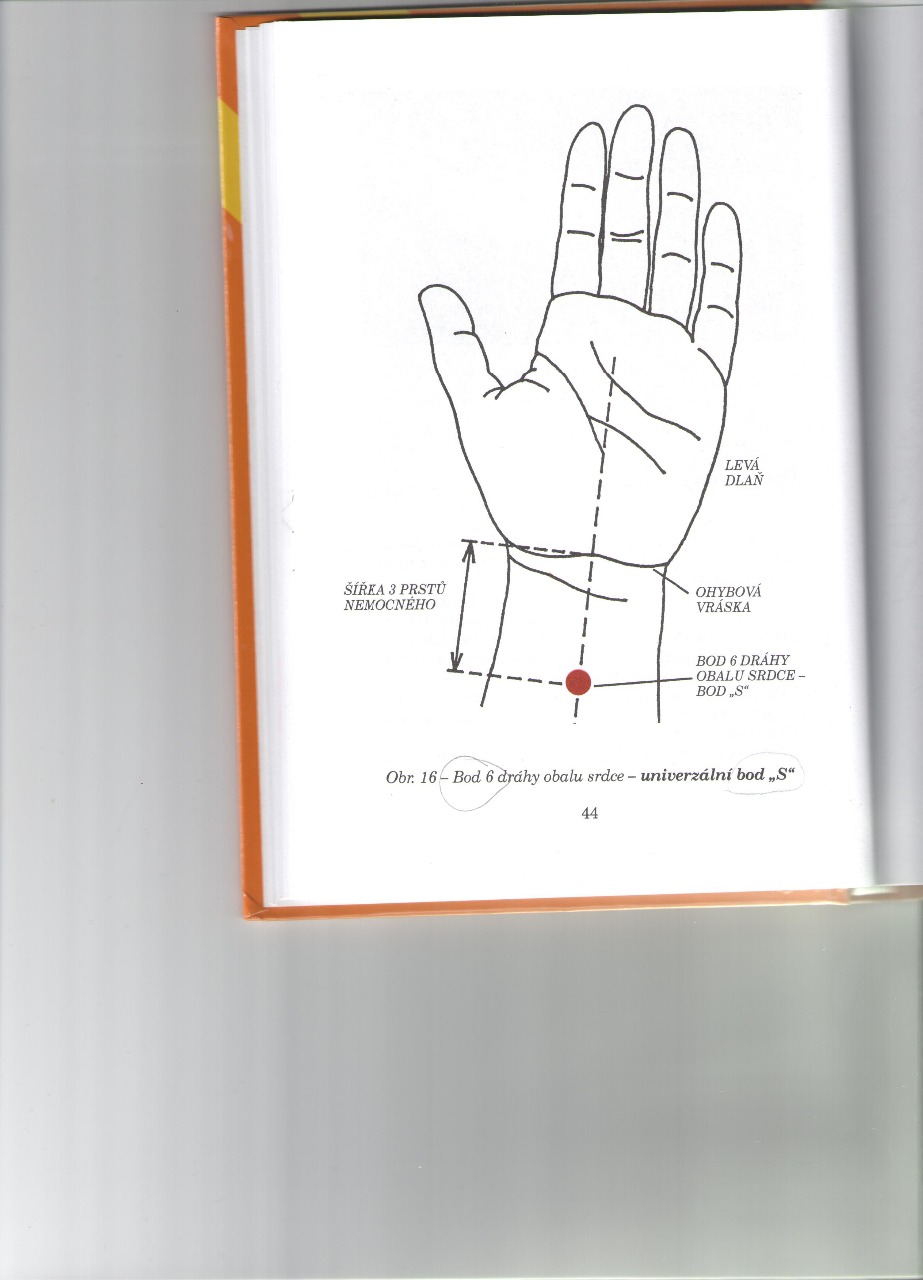 Body imunity na ruce :: Oáza klidu Plzeň